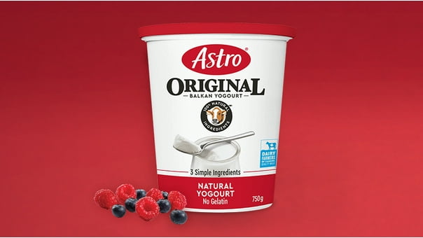 Astro Yogurt | Walmart Canada