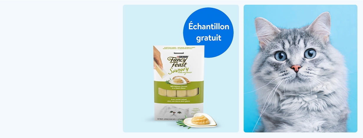 Articles et accessoires pour chats | Walmart Canada