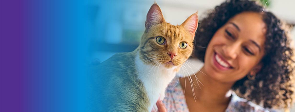 Tidy Alert | Walmart Canada