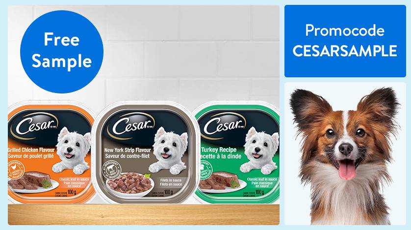 Dog Supplies & Products | Walmart Canada