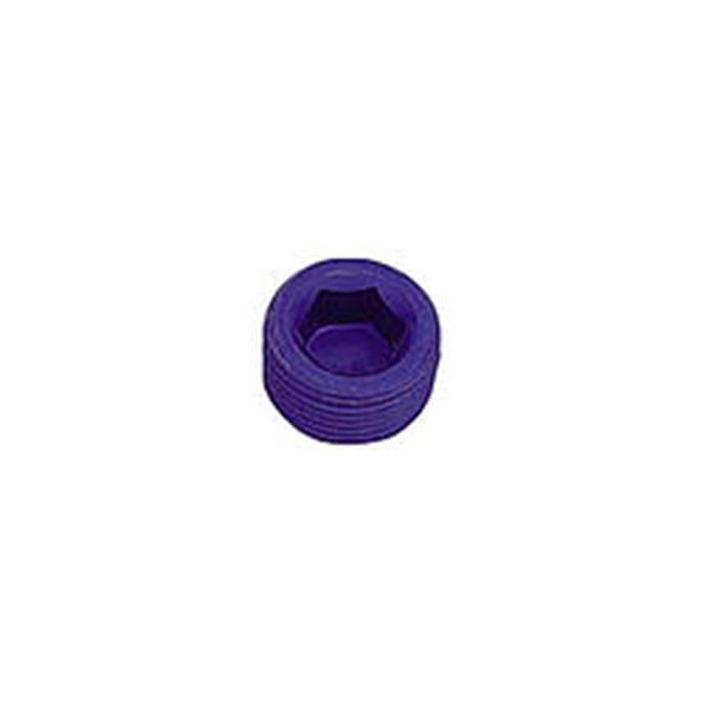 0.06 in. Allen Socket Plug - 0.12 in. NPT - Pack of 2 - Walmart.com