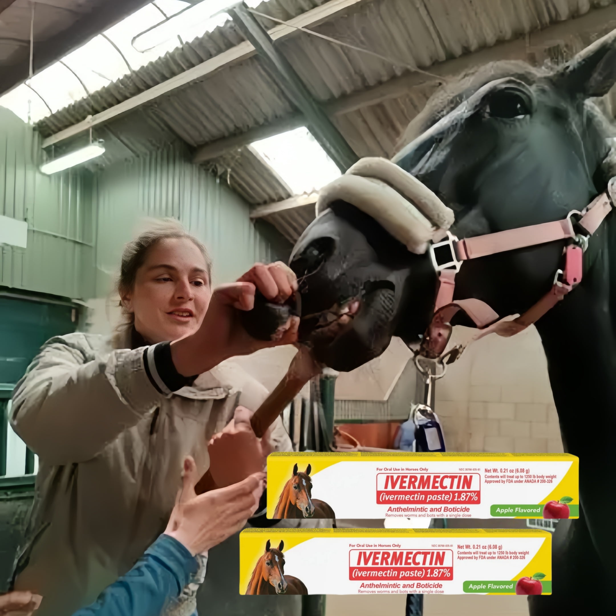 0.21 Ounces, Apple Flavored Horse Dewormer control of large strongyles ...