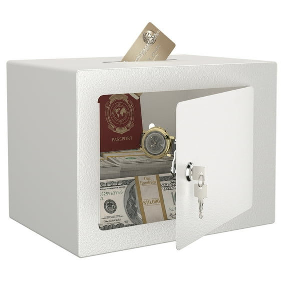 0.23 Cubic Feet Small Home Safe with Key & Password Lock Compact ...