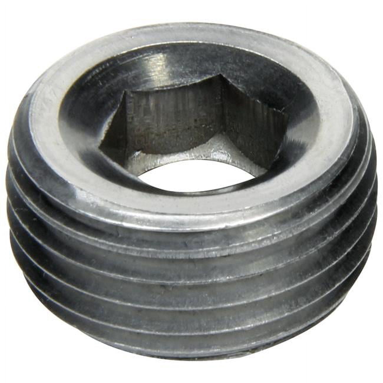 0.375 in. NPT Stainless Steel Allen Head Plug, Zinc - Pack of 2 ...