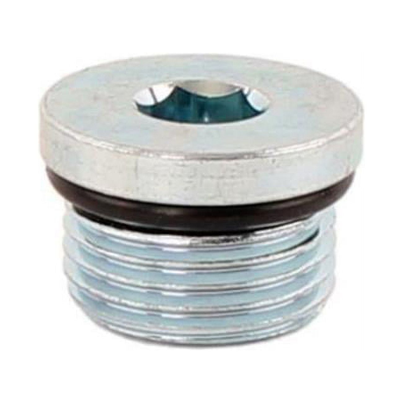 0.5 in. Fitting Size Hex Socket Boss O-Ring Style Pipe Plug - Walmart.com