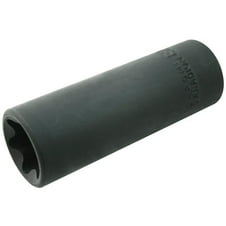 12 Point Torx