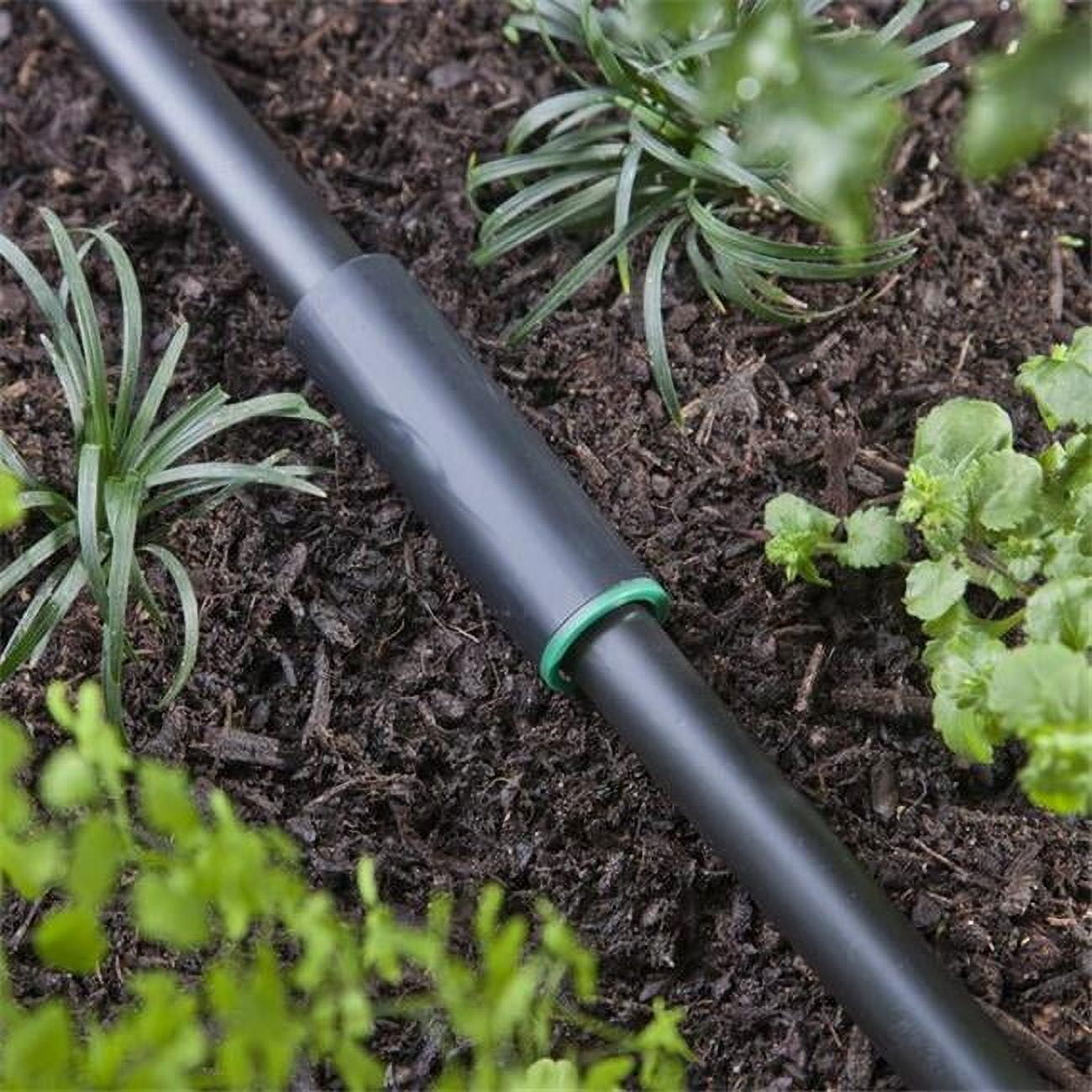 0.625 x 0.5 in. Raindrip Drip Irrigation Coupler - Walmart.com