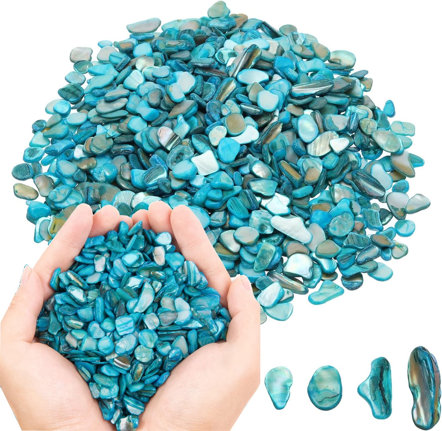 0.66lb/300g Crushed Shells for Crafts,Bexikou Small Natural Sea Shells ...