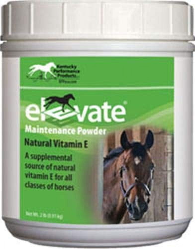 044097 Elevate Maintenance Powder Supplement for Horses, 2 lb - Walmart.com