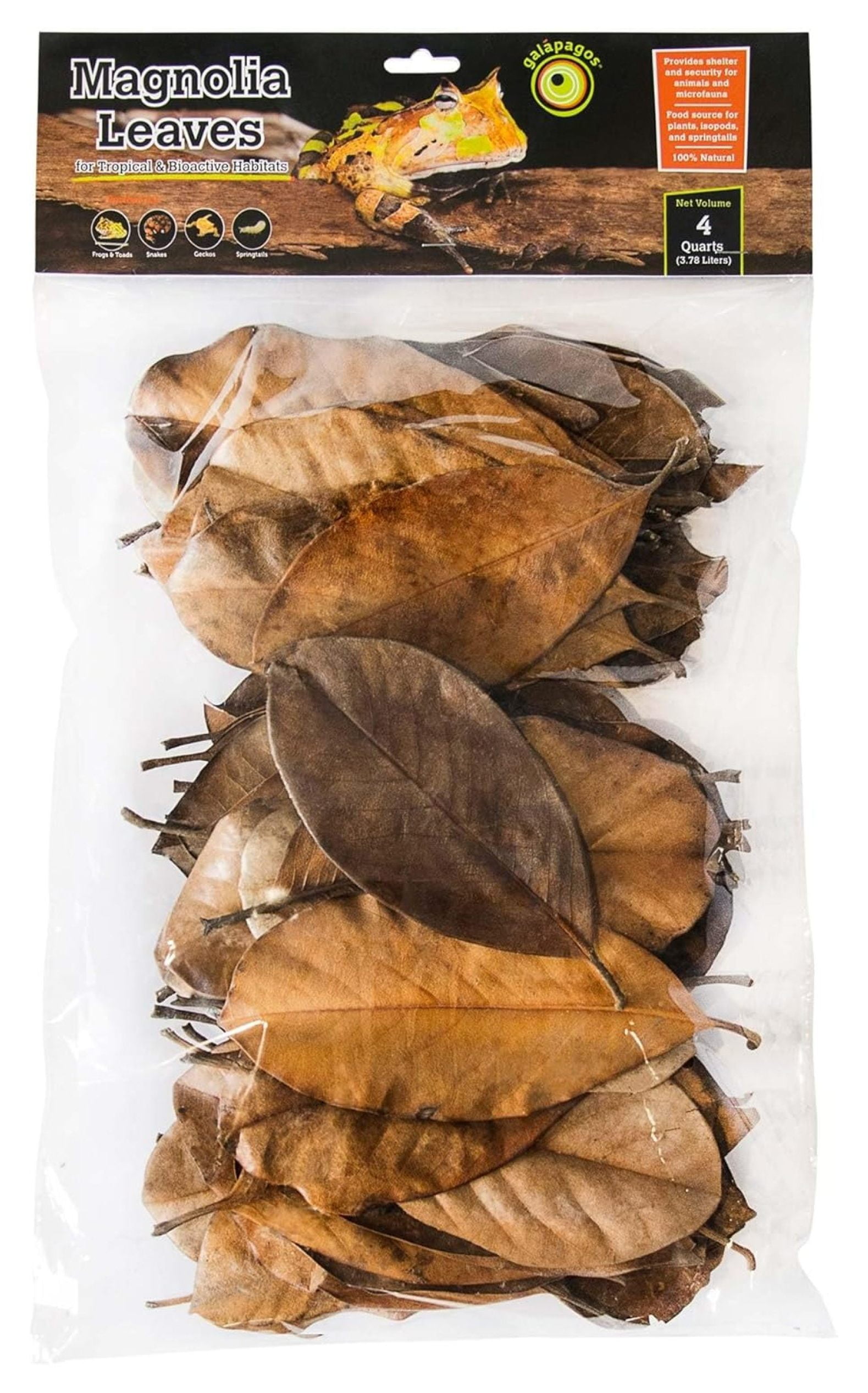 (05150 Natural Magnolia Leaf Litter – Reptile Substrate for Bioactive ...