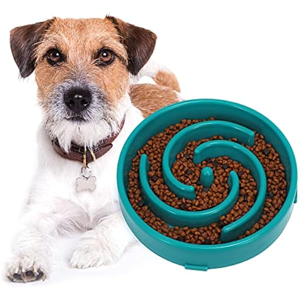 0829 Slow Feeder Bowl for Small Medium Dog Fun Maze Feeder Dog Food ...
