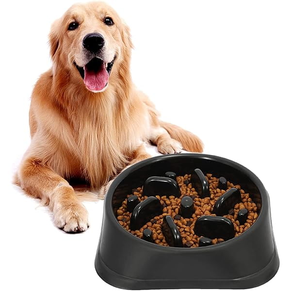 0829 Slow Feeder Large Dog Bowls Slow Eating Pet Bowl Eco-Friendly Non ...
