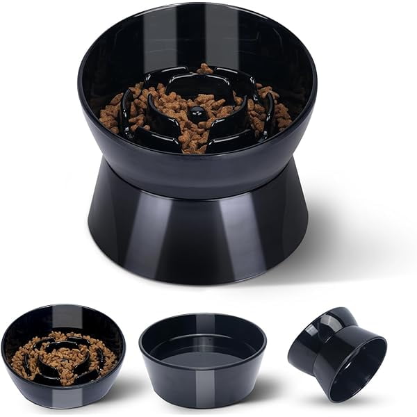 0829 Tilted Raised Slow Feeder Bowl for Cats and Small & Medium Dogs ...