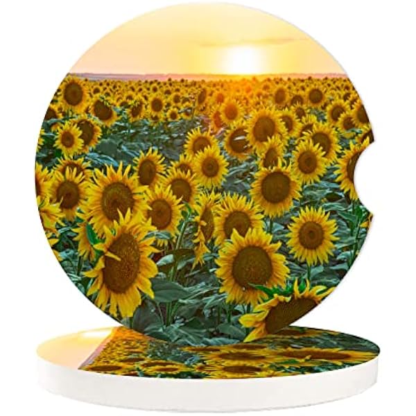 0829 Yellow Sunflower Field Sun Absorbent Car Cup Coasters,Cup Holders ...