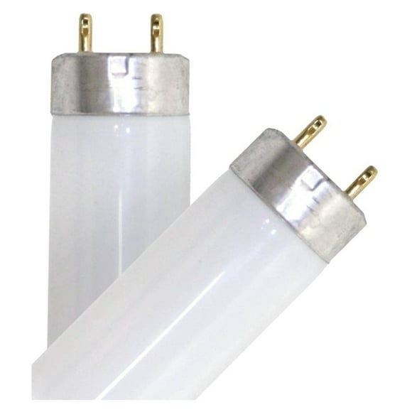T8 Fluorescent Light Bulbs