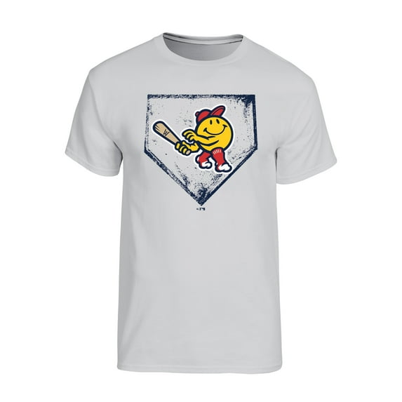 MiLB WORCESTER RED SOX Mens Ash Color Cotton Short Sleeve Tee Plate OPP ...