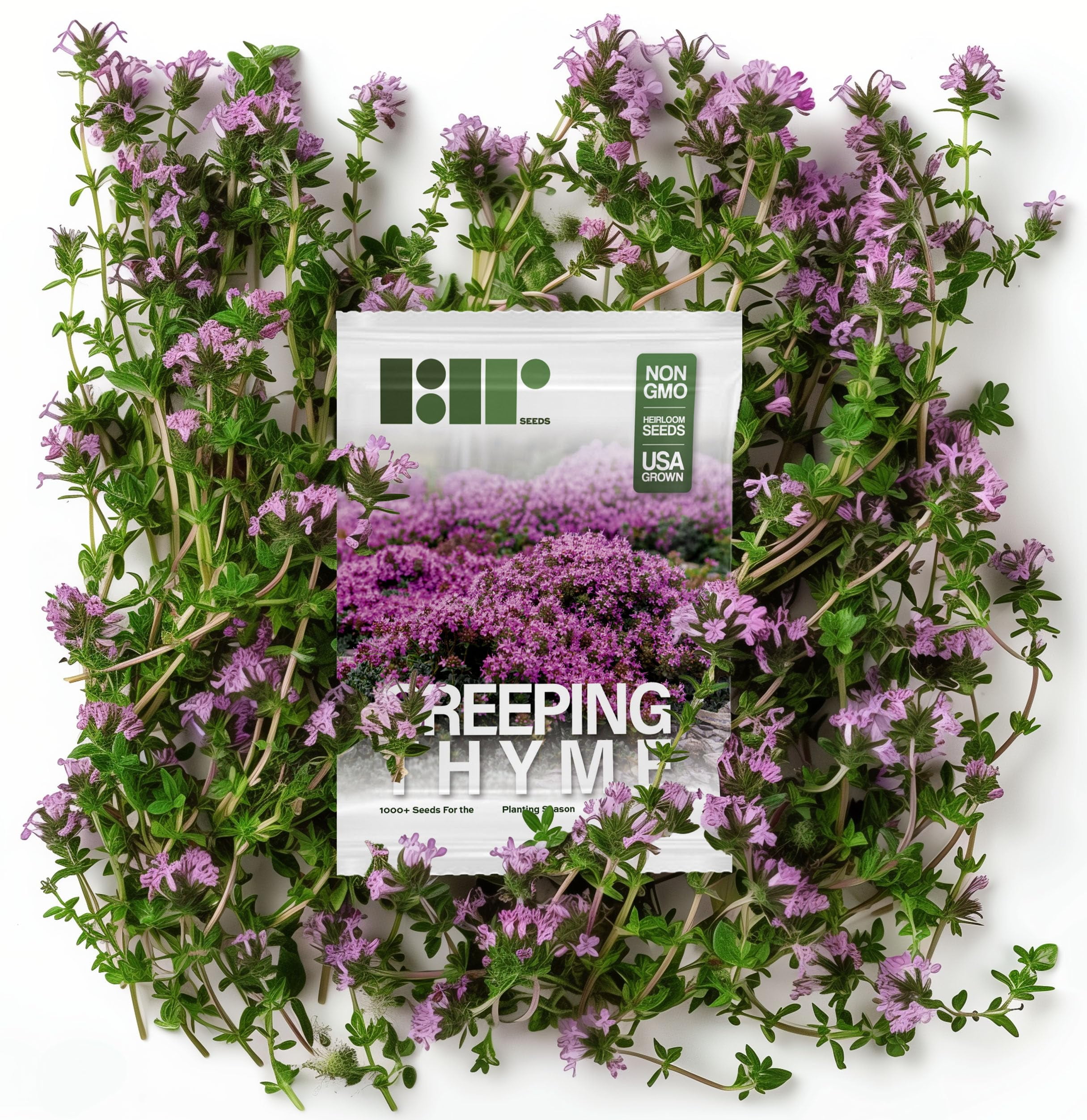 1,000 Creeping Thyme Seeds for Planting - H2FSDHeirloom Non-GMO Ground ...