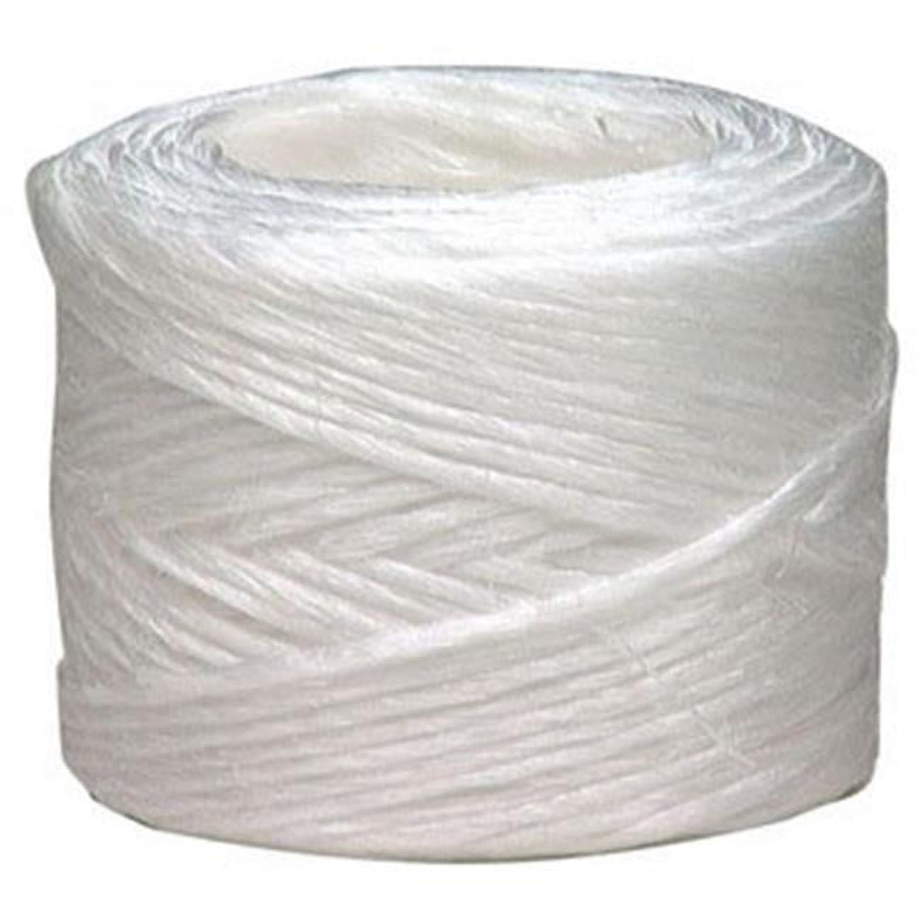 1 000ft. White Polypropylene Twine - Walmart.com