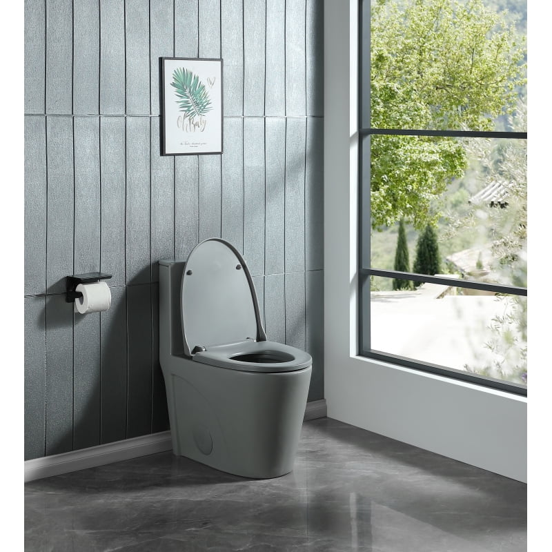 1.1/1.60 GPF Dual-Flush One Piece Toilet, Water-Saving Elongated ...