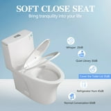 1.1/1.60 GPF Dual-Flush One Piece Toilet, Water-Saving Elongated ...