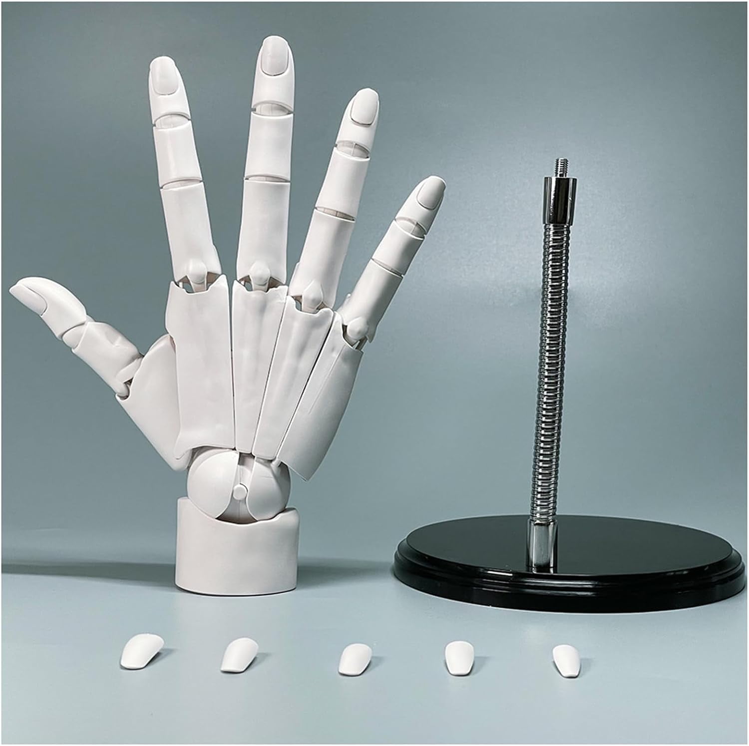 1:1 Flexible Right Hand Model, Joints Moveable Artists Manikin Hand ...