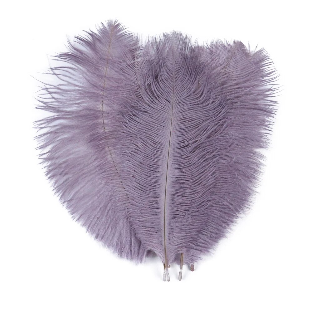1/10/20PCS Dyed Various Real Ostrich Feather Wholesale Price 15-20CM ...