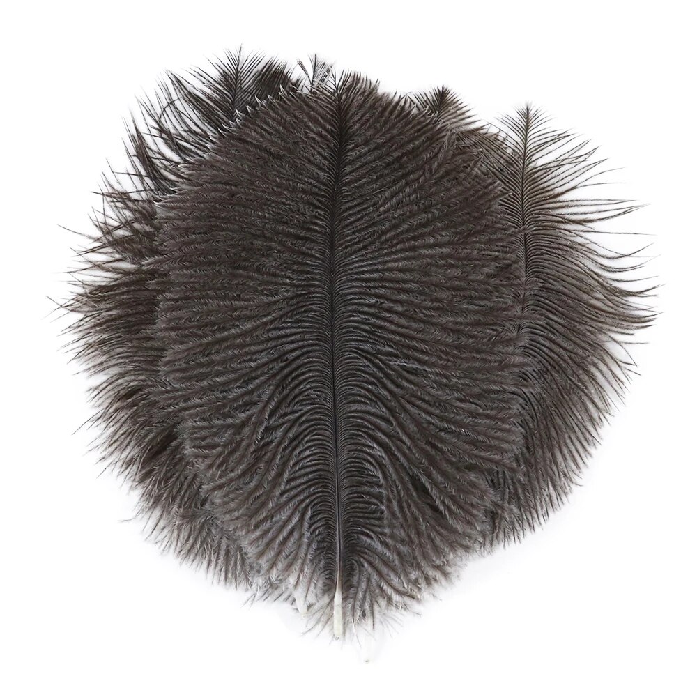 1/10/20PCS Dyed Various Real Ostrich Feather Wholesale Price 15-20CM ...