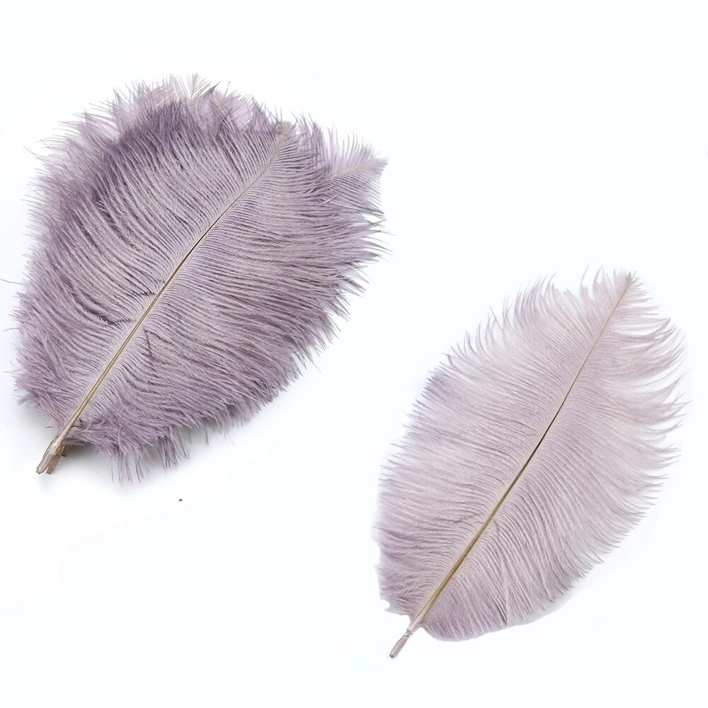 1/10/20PCS Dyed Various Real Ostrich Feather Wholesale Price 15-20CM ...