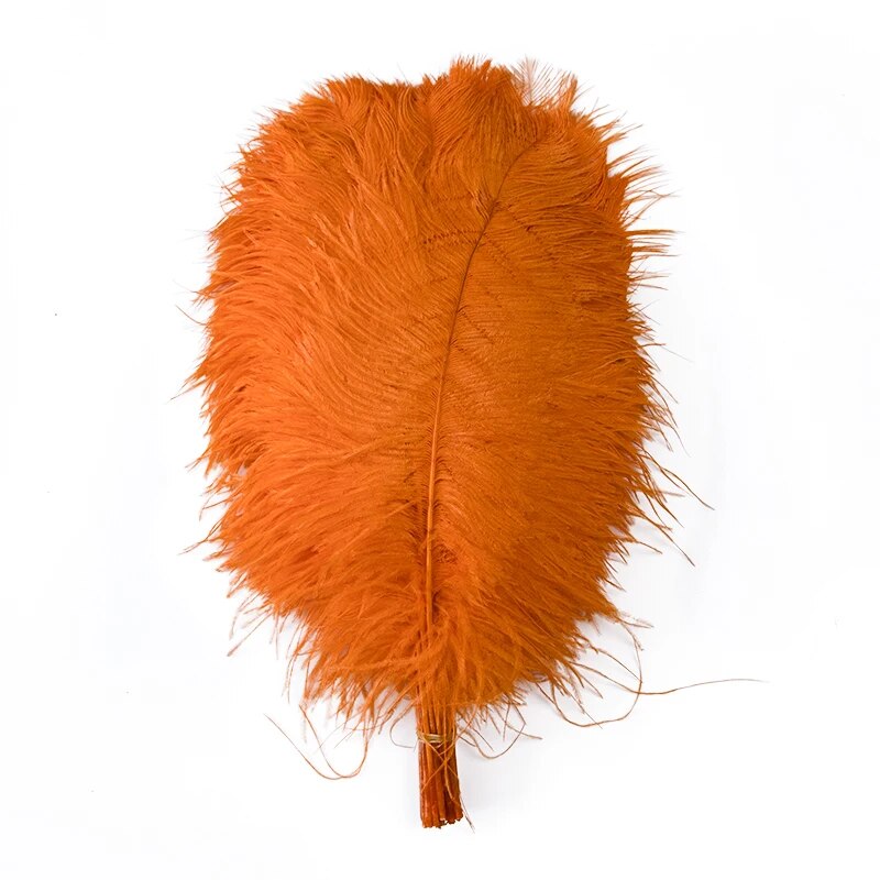 1/10/20PCS Dyed Various Real Ostrich Feather Wholesale Price 15-20CM ...