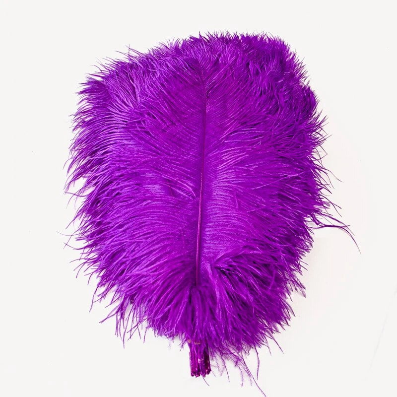 1/10/20PCS Dyed Various Real Ostrich Feather Wholesale Price 15-20CM ...