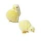 1/2/3/4/5pcs Beautiful Easter Ornament Toy Easter Chicks Decor Chirping ...