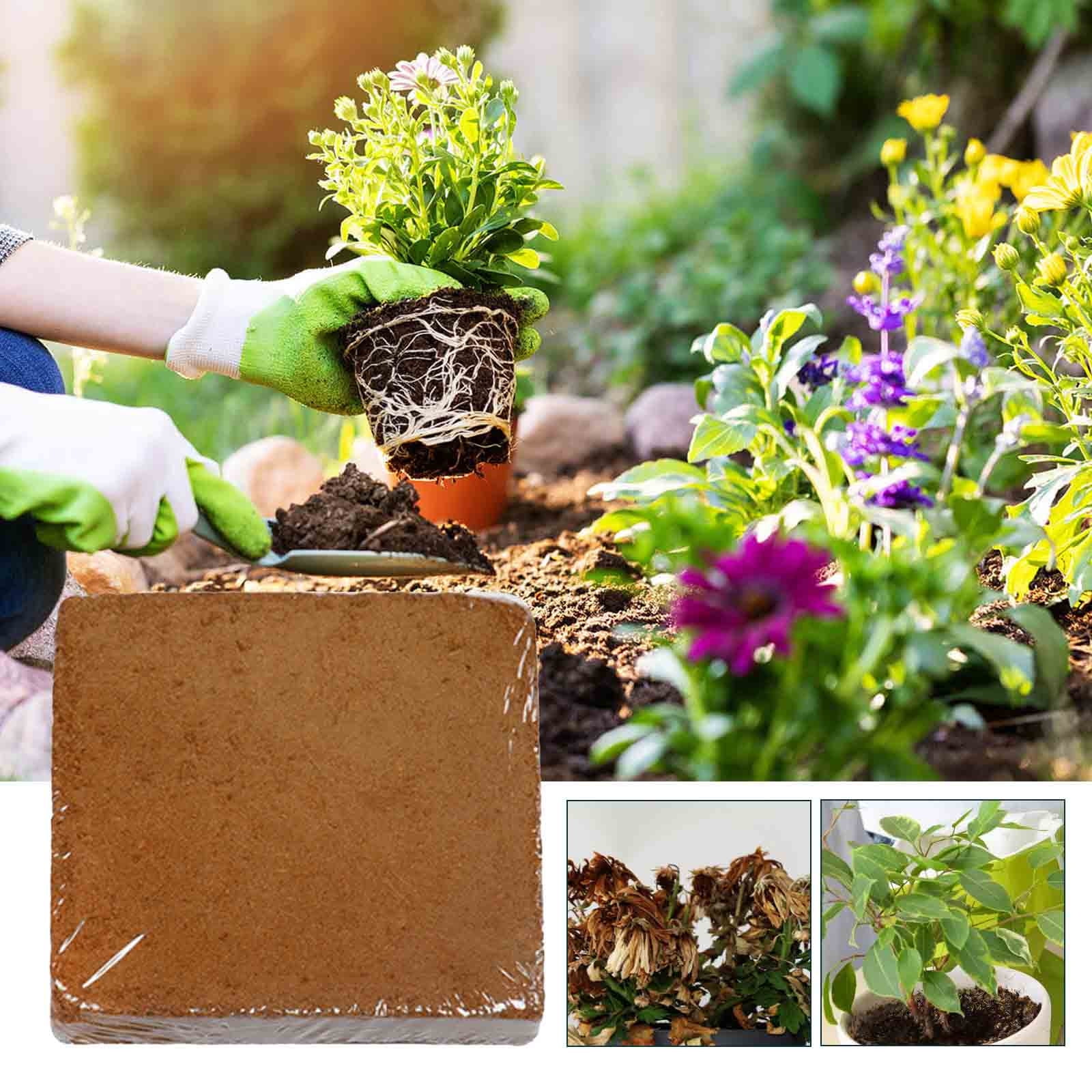 1/2/3PC Coir Fiber Bricks, Cultivation Growing Supplies, Grass Flower ...