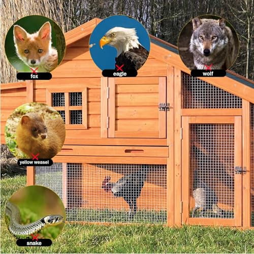 1/2 in Hardware Cloth, 24 in x 50 ft Chicken Wire Fence, Chicken Wire ...