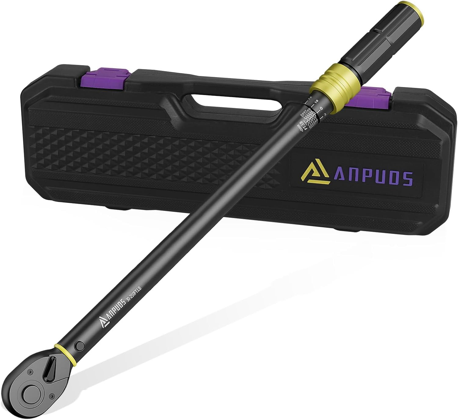 1/2-Inch Drive Click Torque Wrench, 30-250 Ft-Lb/40.7-339 Nm, Dual ...