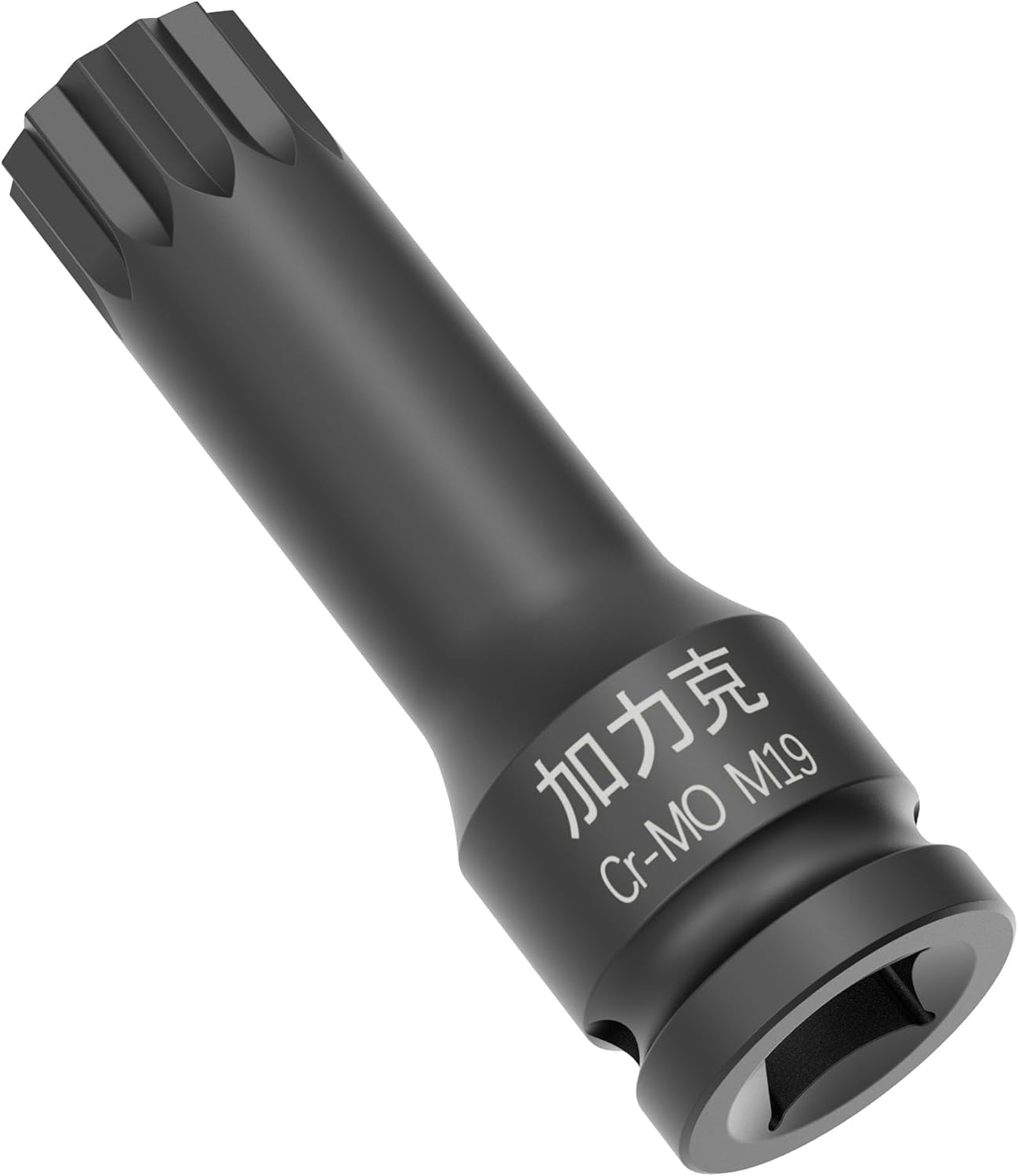 1/2-Inch Drive x M19(19mm） Impact XZN Triple Square Spline Bit Socket ...