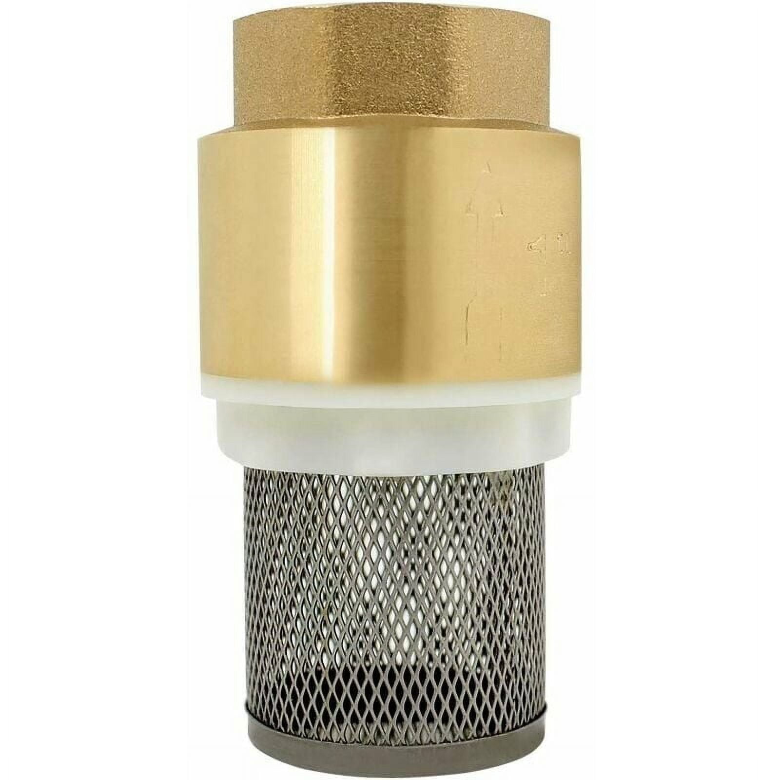 1/2 Inch Filter Copper Belt Mesh Check Valve/Copper Bottom Valve Check ...
