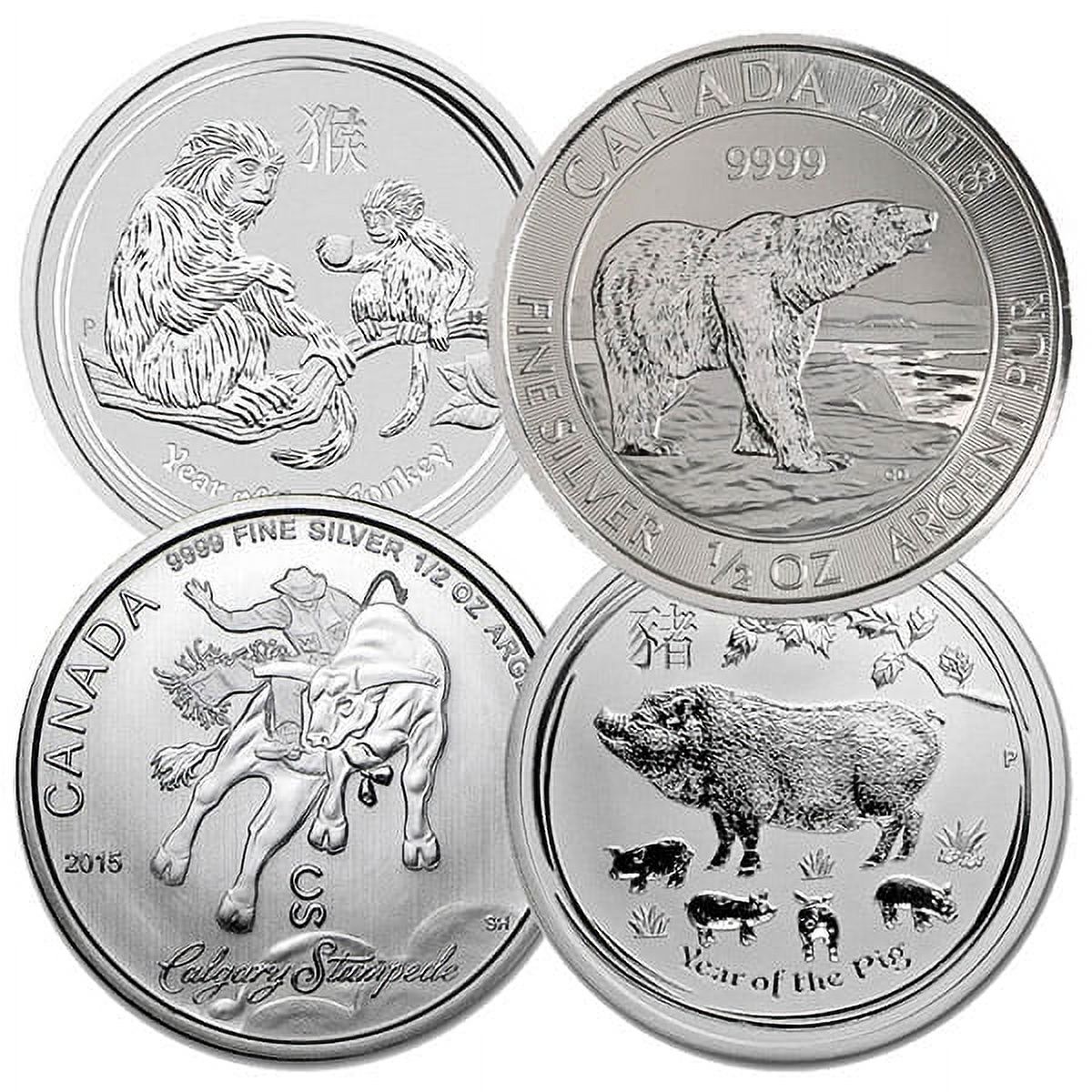 Half Ounce (.5 Oz) .999+ Pure Silver Coin, Random Design (Design Our ...