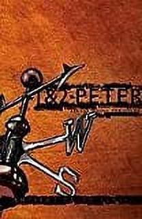 1 2 Peter: Lectio Divina for Youth Ancient Faith Paperback Tim Guptill ...