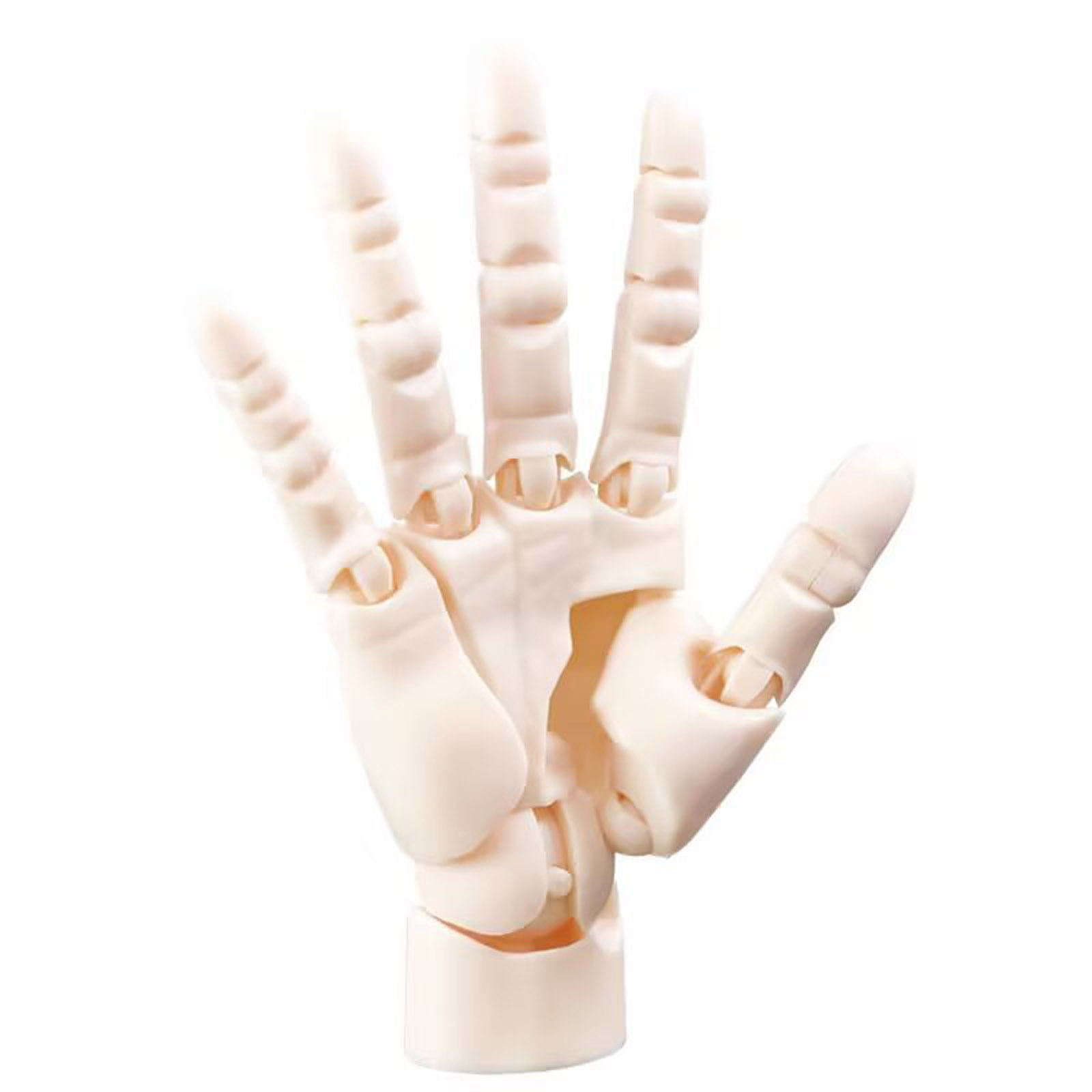 1/2 Scale Articulated Right Hand Model with Ultra-Movable Finger Joints ...