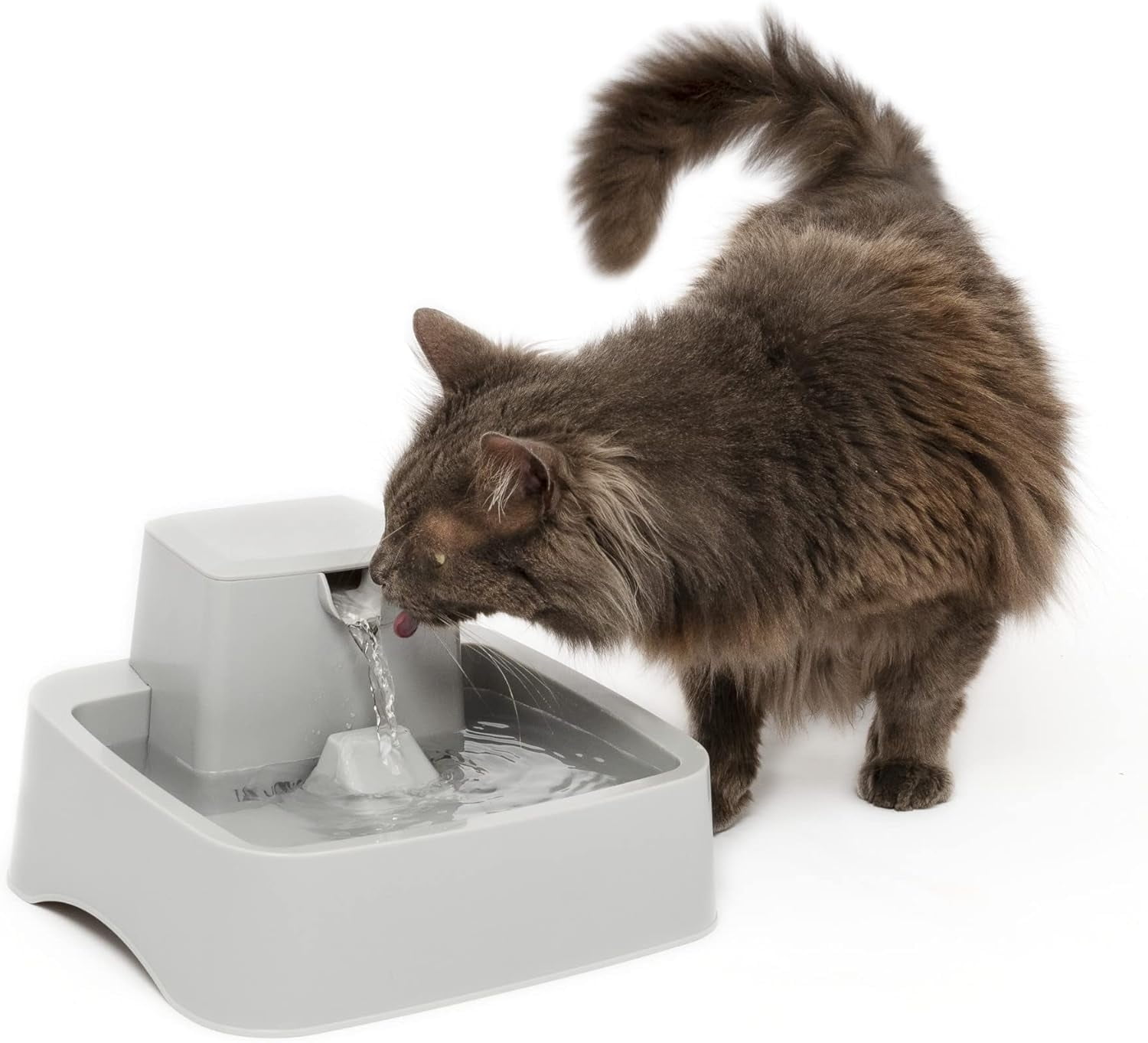 1/2 gallon (64 oz) small pet fountain - puppy and cat fountain ...