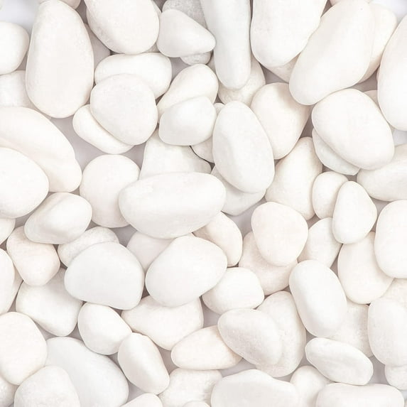 1-2 inch Polished White Pebbles (20lbs) - Natural River Rocks for ...