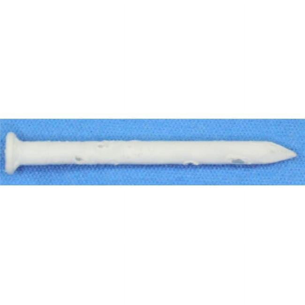 1.25 in. Aluminum Trim Nails Box, White - 0.25 lbs - Walmart.com