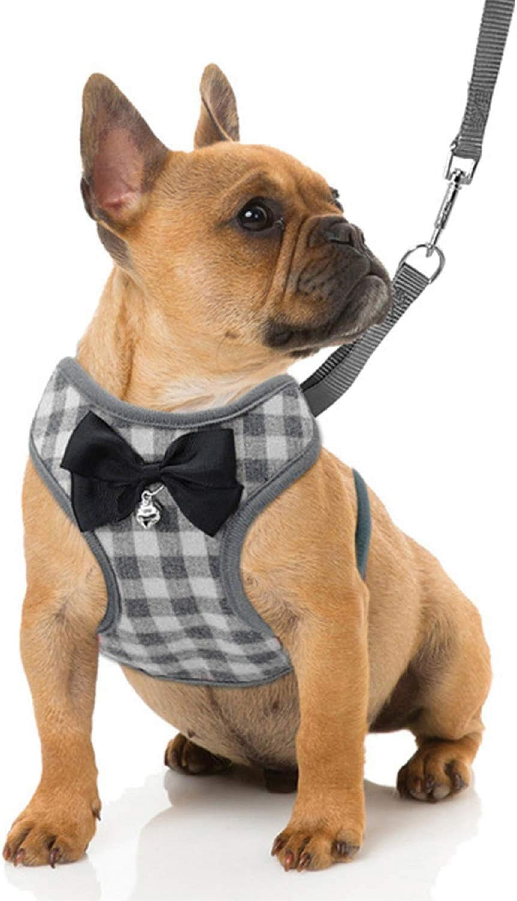 1/2PCS Small Dog Harness and Leash Set - No Pull Pet Harness with Soft ...