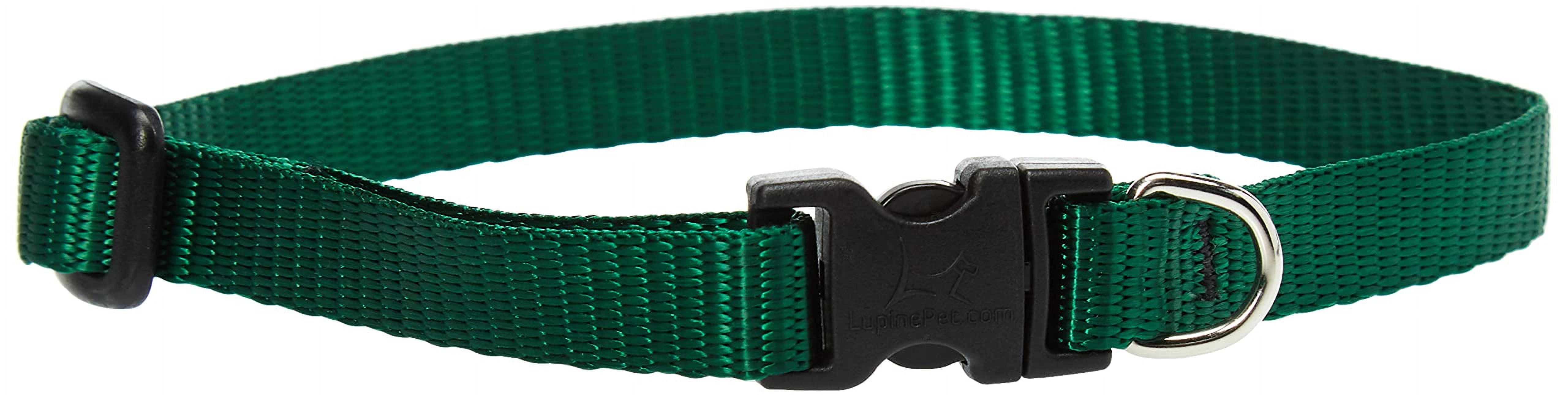 LupinePet Basics 1/2" Green 10-16" Adjustable Collar for Small Dogs ...