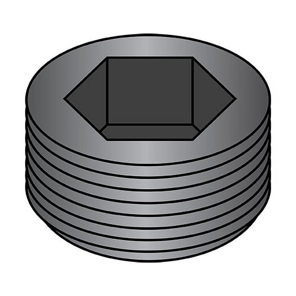 1/4 Dry Seal Socket Pipe Plug Plain (Pack Qty 100) BC-00250PPS ...