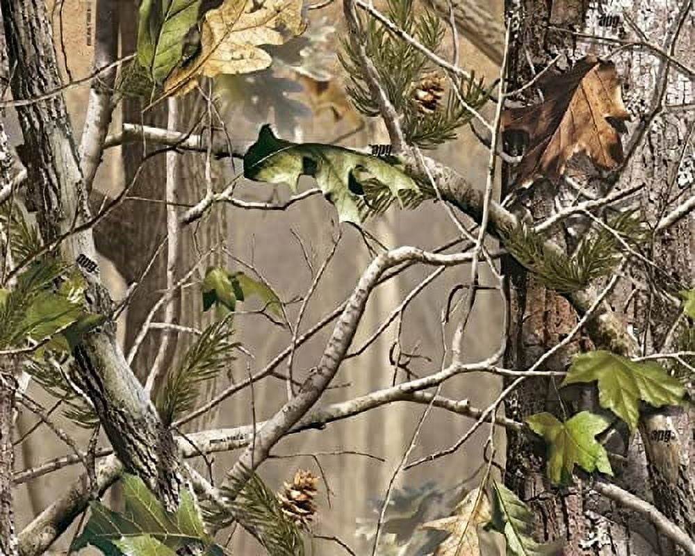1/4 Sheet ~ Real Camo Woodland Trees Birthdays ~ Edible Cake/Cupcake ...