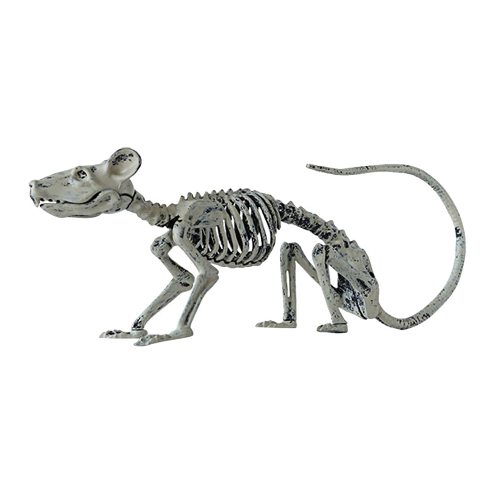 1/4Pcs Halloween Animal Skeleton Decoration Realistic Rat Crow Spider ...
