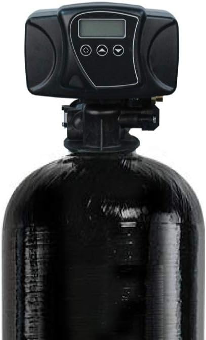 1.5 Cubic Ft. pH Water Filter System with Fleck Digital 5600SXT Control ...