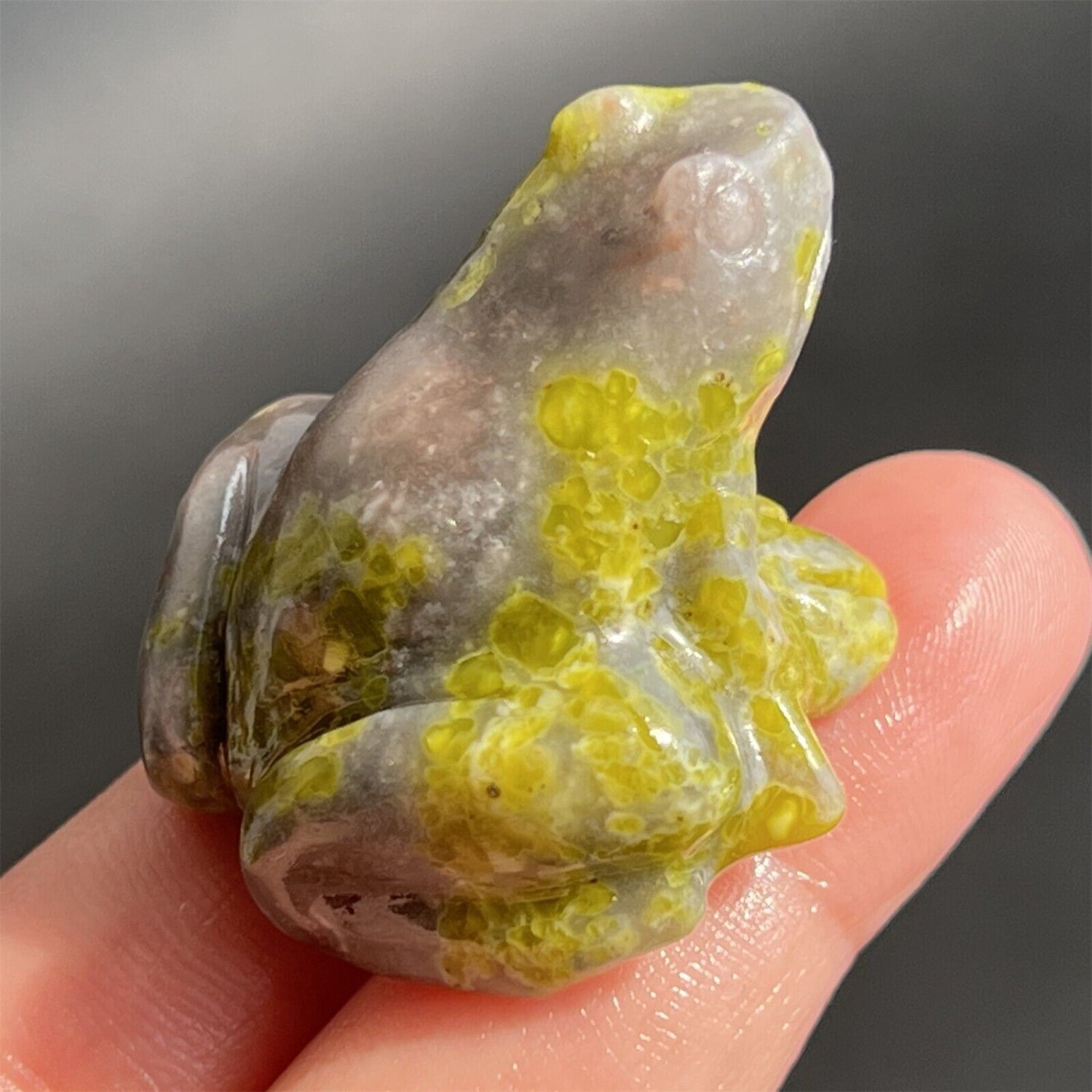 1.5 Inch Natural Mixed Frog Carved Gem Skull Quartz Healing Random 1 ...