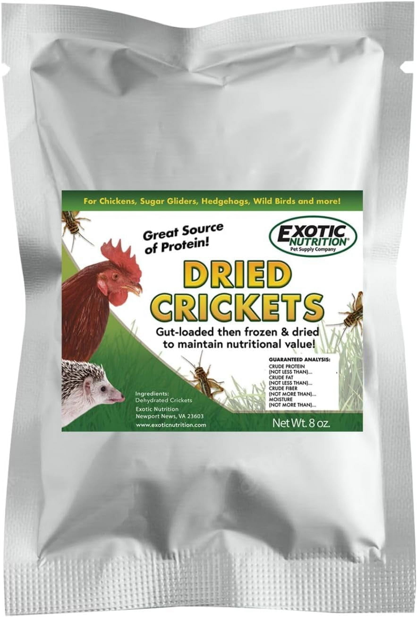 1.5 Pound Dried Crickets - High Protein Insect Treat - Chickens, Wild ...